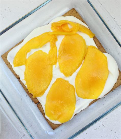 Mango Graham Float