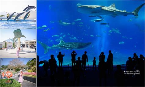 沖繩│美麗海水族館，來全世界最大水族館看見最美鯨鯊！ 輕旅行