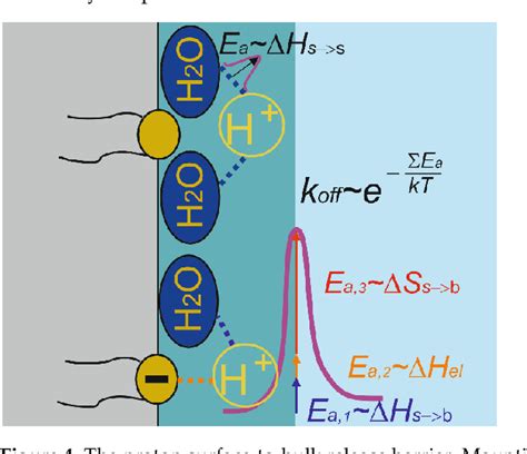 Figure 1 From A New Theory About Interfacial Proton Diffusion Revisited The Commonly Accepted