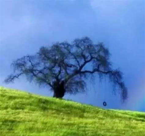 知道吗？朋友是永恒的，别淡了 小字 蓝色 爱人