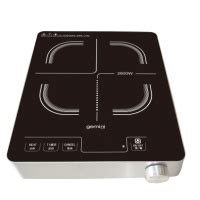 Gemini Gic Price Hk
