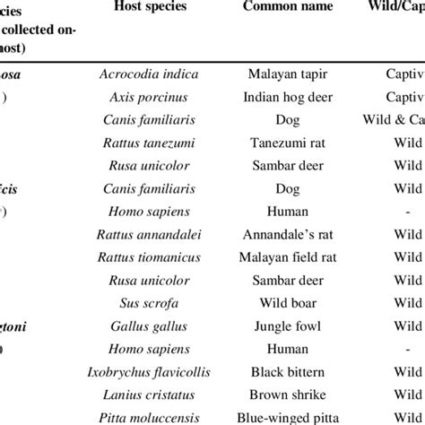 Host Species From Which Ticks Were Collected In Singapore Download