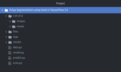 Polyp Segmentation Using Unet In Tensorflow Idiot Developer
