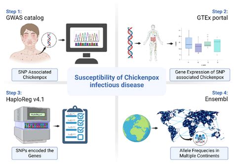 Schematic Of Custom Bioinformatics Pipeline To Identify Chickenpox Download Scientific Diagram