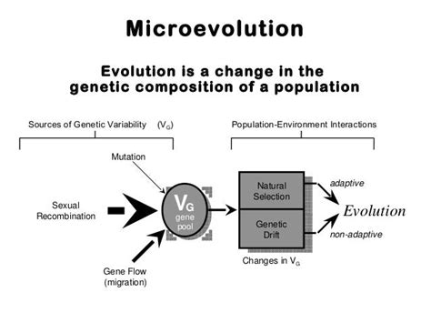 Microevolution