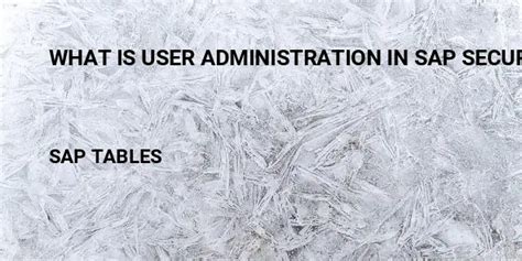 What Is User Administration In Sap Security Table In Sap