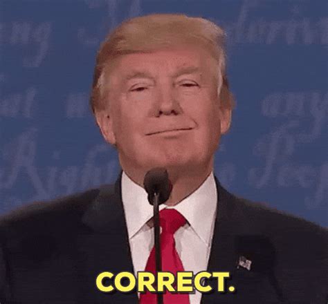Correct GIFs Find Share On GIPHY