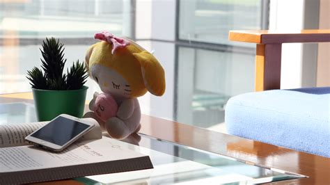En 中 En 中