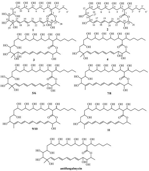 New Polyene Macrolide Compounds From Mangrove Derived Strain