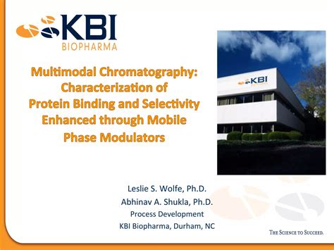 Multimodal Chromatography PDF