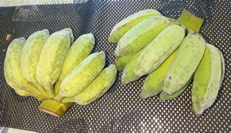 特価 沖縄本島北部やんばる直送 絶品 アップルバナナ コンパクトにぎっしり沖縄産直バナナ｜売買されたオークション情報、yahooの商品情報