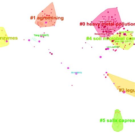 Co Citation Cluster Map 92480 85 Download Scientific Diagram