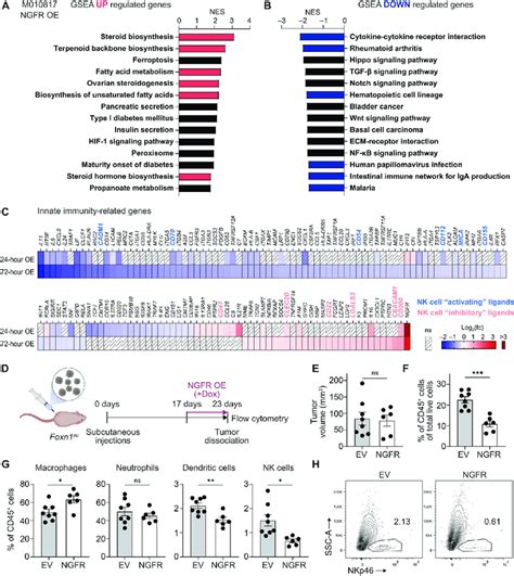 Ngfr Mediates An Innate Immune Evasion Signature A And B Gsea Of