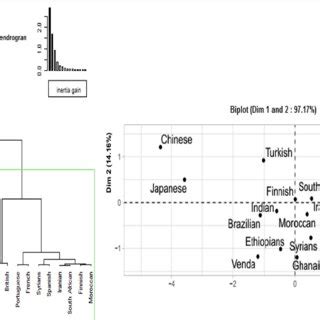 A Dendrogram Cluster Showing Relatedness Between Moroccan Population