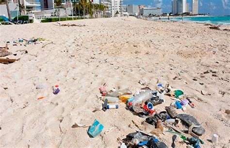 Desafío De Basura En Las Playas De Cancún Fiestas Y Descuido Ambiental