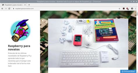 Qué navegadores web podemos usar en una Raspberry Pi Raspberry para novatos