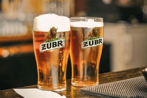 Polish Beer 10 Most Popular Brands Polonist