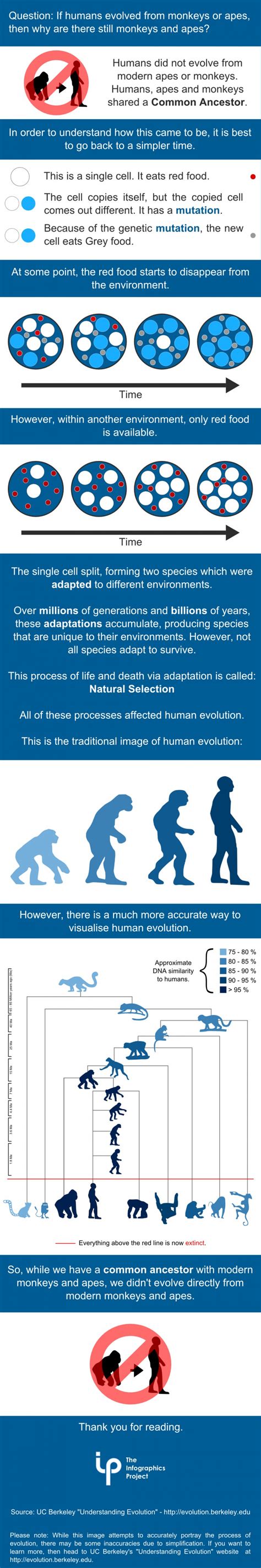 13 Evolution Ideas Evolution Science And Nature Science