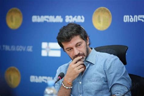 მილიონები უცხოურ ბანკებში Tesla Porsche და ქველმოქმედებაზე დახარჯული 330 ათასი ლარი რა