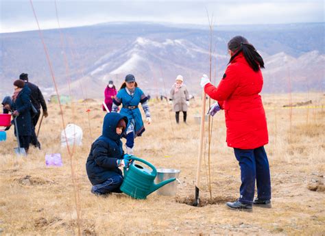 Үндэсний цэцэрлэгт хүрээлэнгийнхэн энэ намар 110 мянган мод тарина