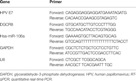 The Primer Sequences For Rt Qpcr Download Scientific Diagram