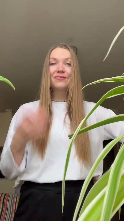 Начинаем утро правильно английский для взрослых Youtube