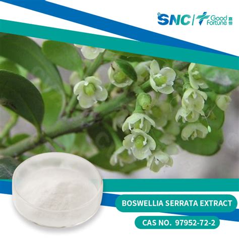 Boswellia Serrata Extract 65 90 Boswellic Acid Frankincense Extract