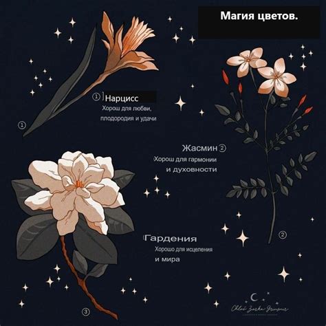 Магия цветов. | Страницы старых книг, Магия, Викканство