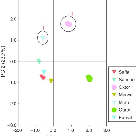 The Schematic Of Potentiometric Electronic Tongue Download Scientific Diagram