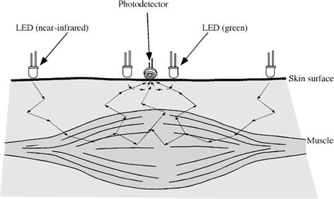 Schematic Description Of The Photon Propagation Into Tissue Emerging Download Scientific