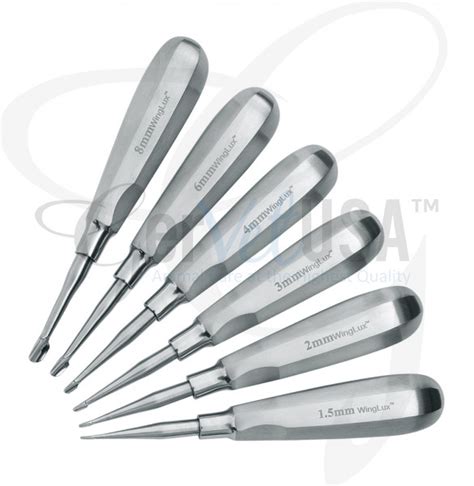 Winged Dental Elevator Set Of 6 With Straight Tip GerVetUSA Inc