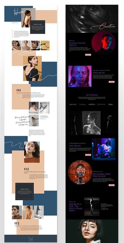 webteamdev i will build a mobile friendly wordpress website design for