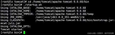 在linux系统中部署tomcat并通过公网访问 阿里云服务器配置tomcat公网访问 csdn博客