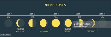 Moon Phases Southern Hemisphere Royalty Free Vector Stock Freeimages