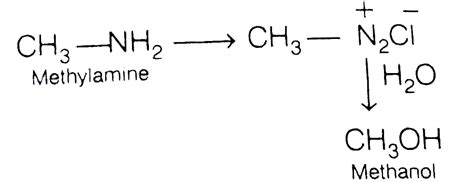 Methylamine Reacts With Hno 2 To Form…
