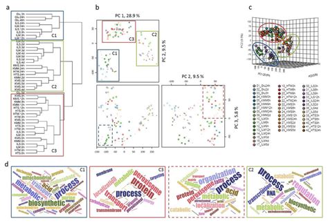 Hierarchical Clustering And Pca Analysis Illustrate Time Pretreatment