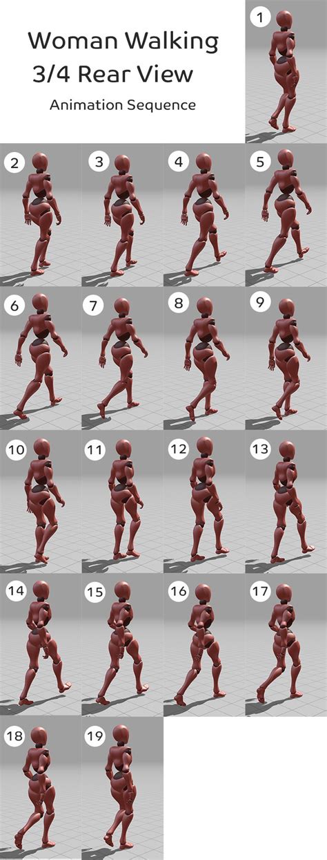 Female Walk Cycle Reference Female Walk Cycle Reference