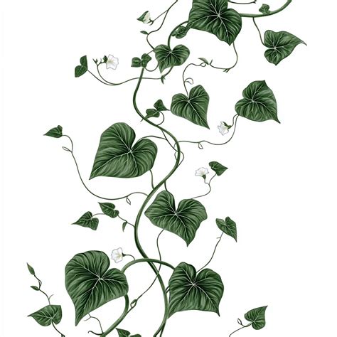 あさがおの葉っぱが輝く清らかな風景｜イラスト・フリー素材なら「シンテリ」