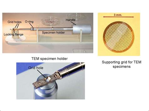 Microscope Specimen Preparation At James Reis Blog