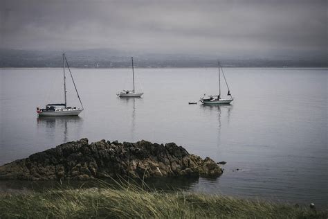 Flexbox布局指南：实现响应式圆形与方形卡片 Html教程 Php中文网