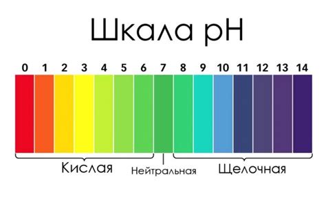 рН: что это такое и почему о нем важно знать