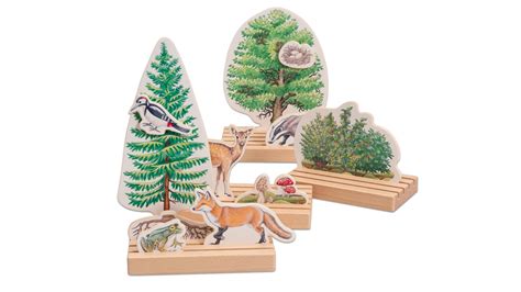 Stockwerke Des Waldes Lehrershop