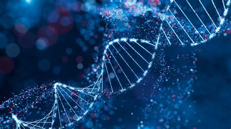 Genetic Blood Clot Disorders Causes Symptoms Diagnosis Treatment