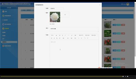 【毕业设计】springbootvuemysql 微信植物识别与养护平台平台源码数据库论文部署文档 Csdn博客