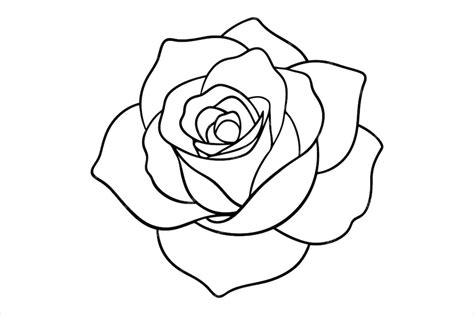 Premium Vector Rose Line Art Silhouette Vector Illustration