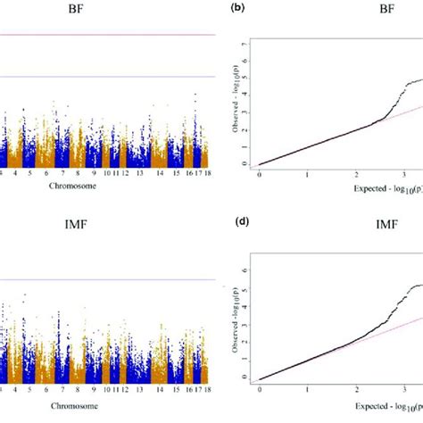 The −log10 P Value Of Each Snp Y Axis Across The Chromosomes X Axis