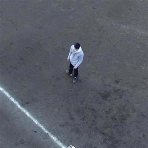 Human Drone Shots Object Detection Dataset By Yolo V5 Drone