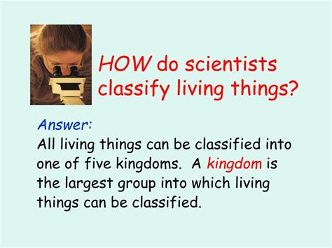 Ppt The Classification System Powerpoint Presentation Free Download