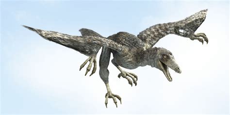 Archaeopteryx Facts Habitat Pictures And Diet