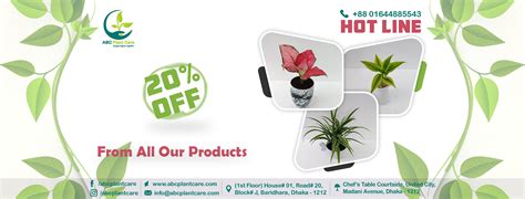 Abc Plant Care